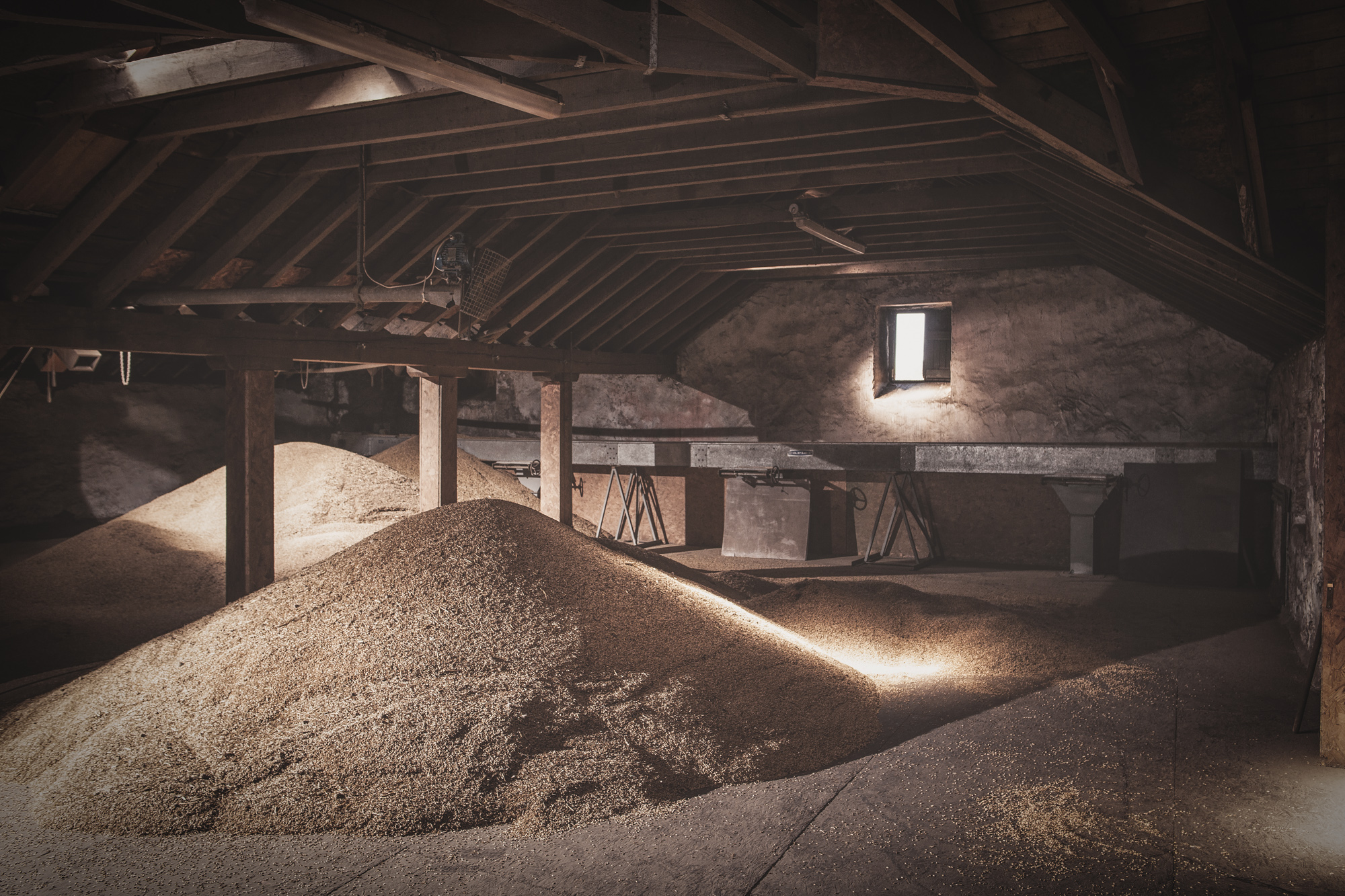 Barley to Bottle Tour - Springbank